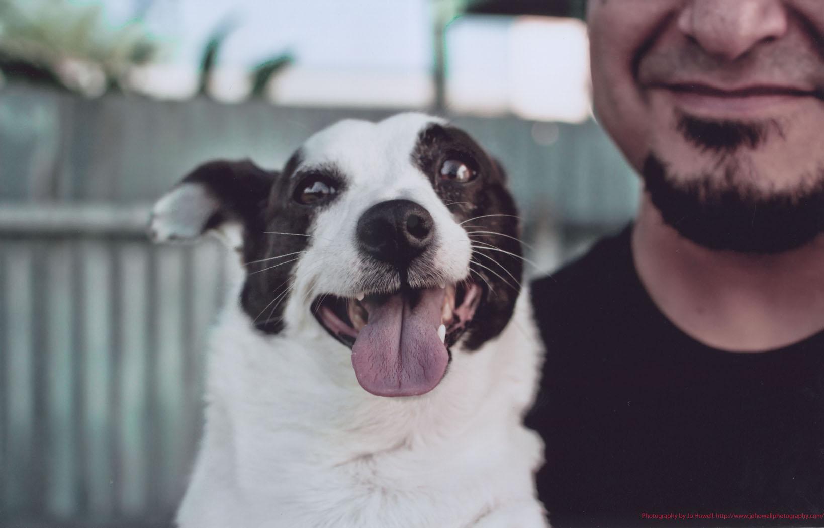 The Man Who Knew Infinity: A Life of the Genius Ramanujan | Science ...