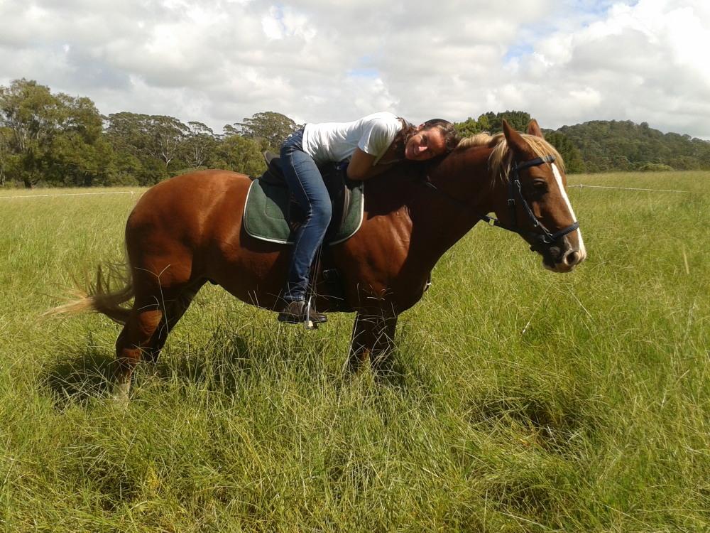 FREQUENTLY ASKED QUESTIONS | Happy Horses Bitless Bridles