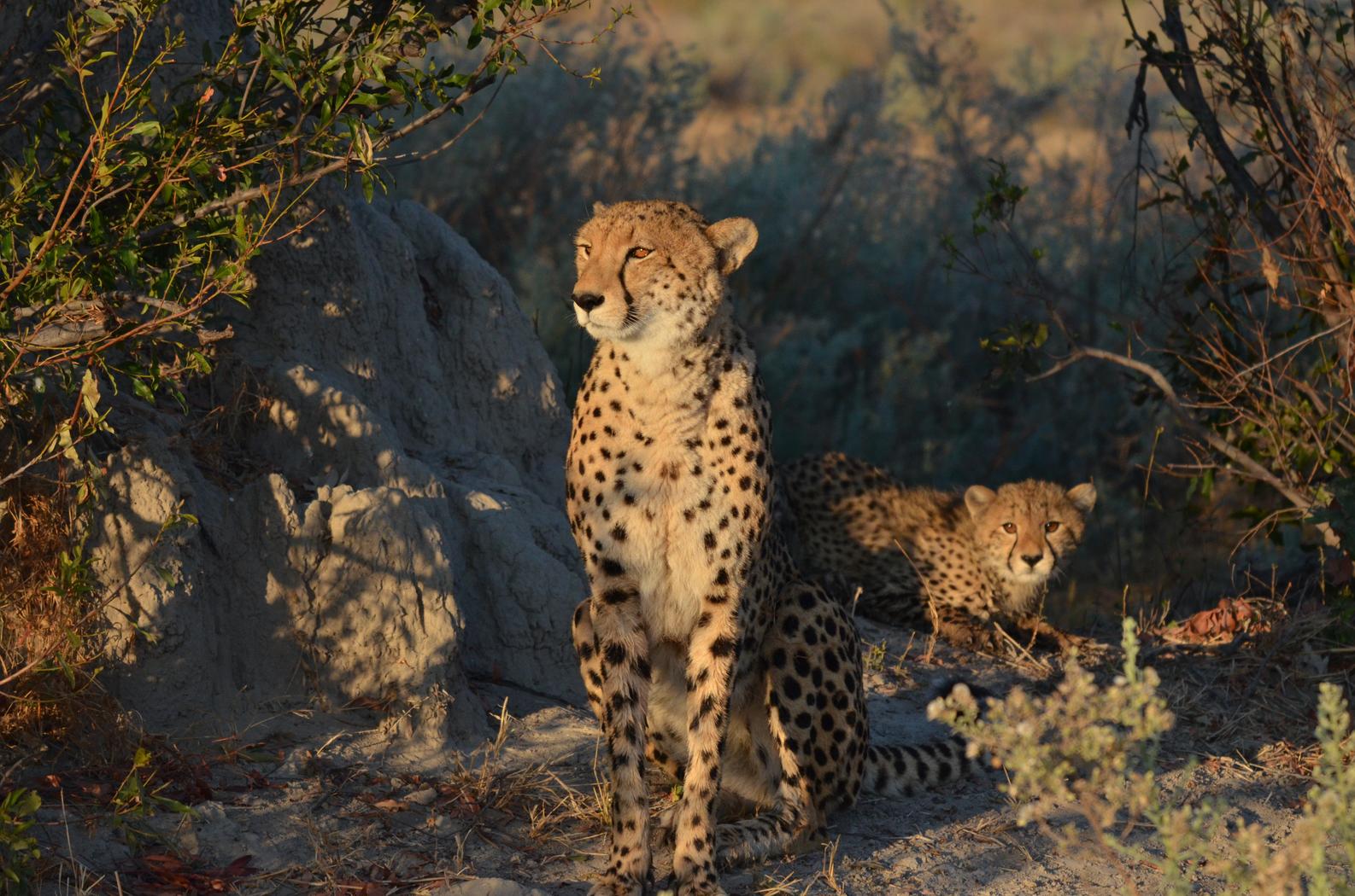 On viewing the Hermes of Praxiteles, Olympia Museum | Mr. Richard Freed