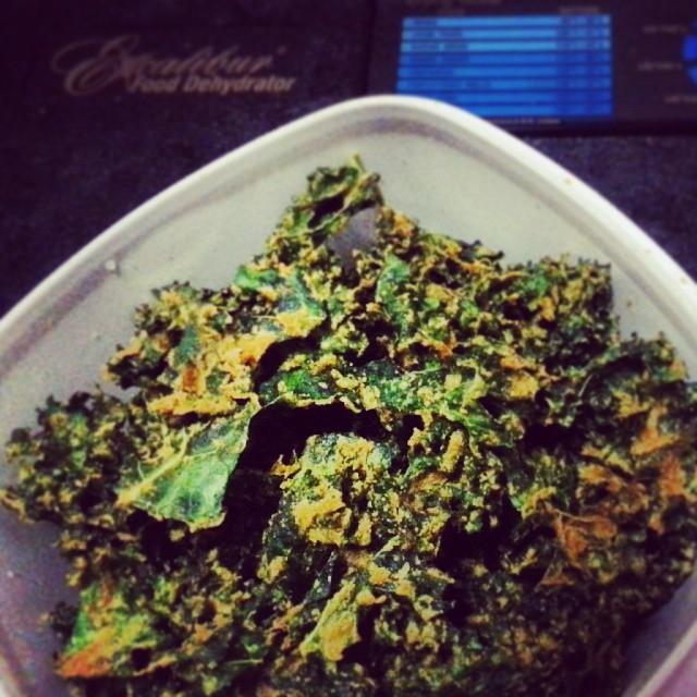 Food Deserts: Correlation is not Causation But… | Our World Eats Culture