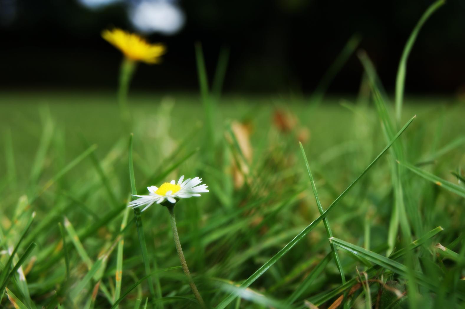 Vinitha - JungleKey.in Image #50